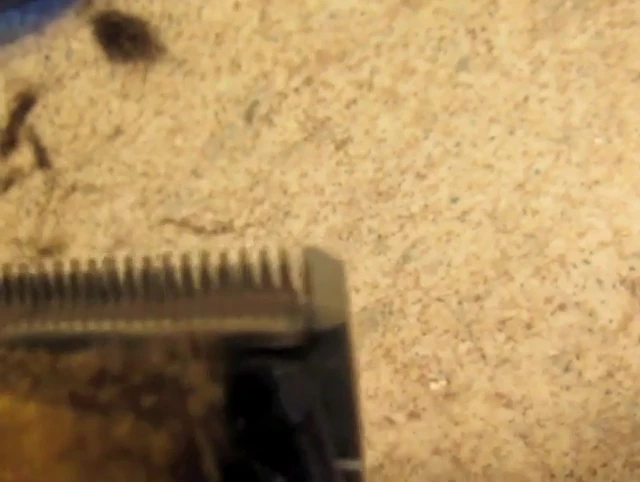 Fix a Jammed Canary Hair Clipper: Quick Troubleshooting Guide